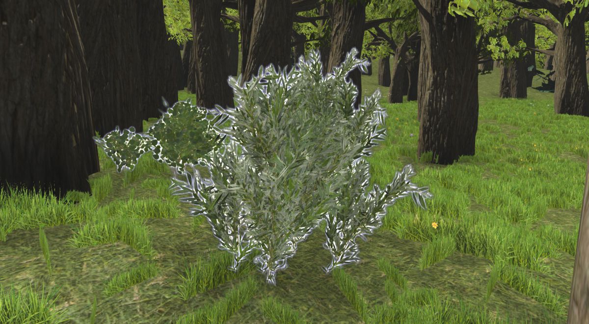 File:Thicket.jpg - Wurmpedia